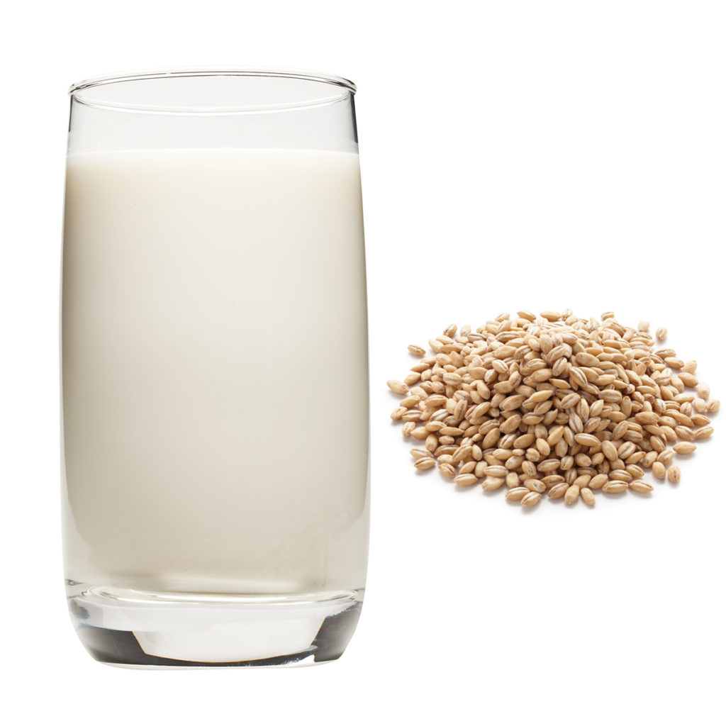 Bebida de cebada - Bebida vegetal de grano, cereal o pseudocereal ...